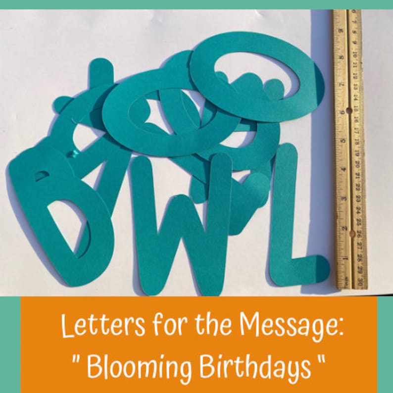 Birthday Bulletin Board - Etsy