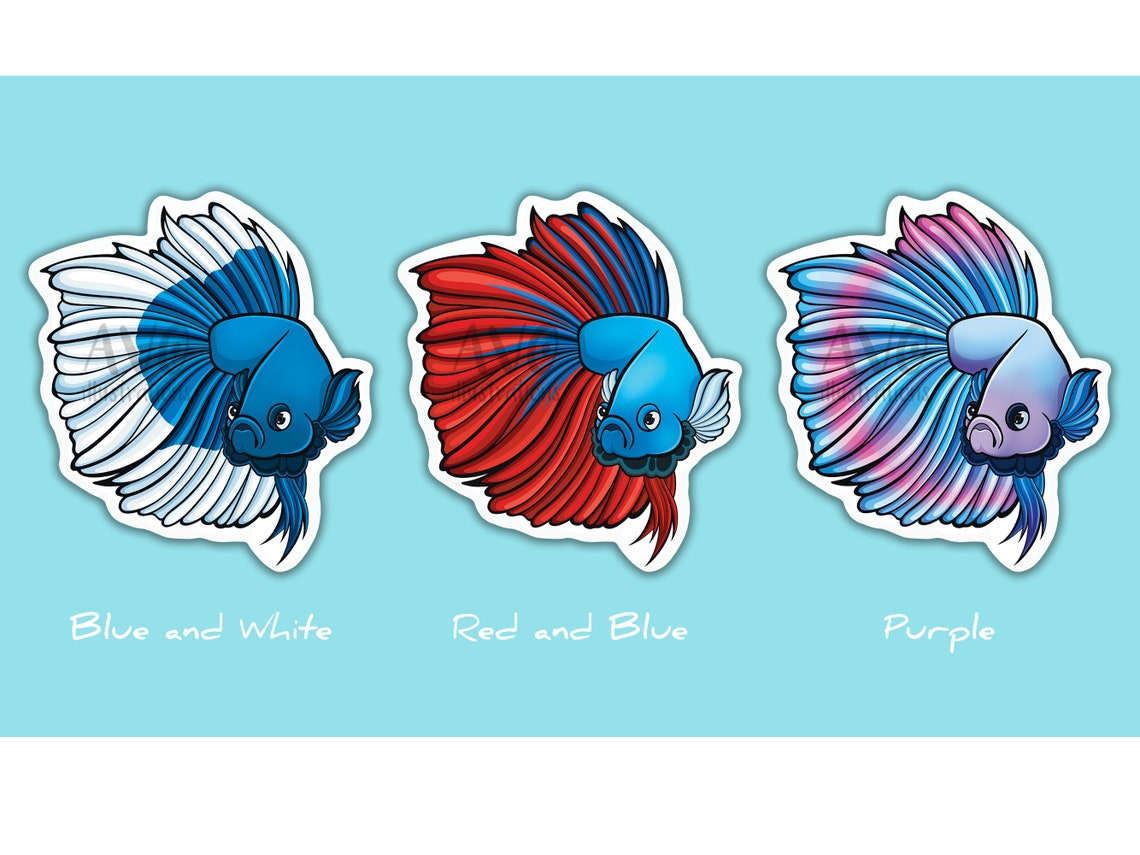 Flaring Betta Fish Sticker - Red and Blue, Blue and White, Purple ...