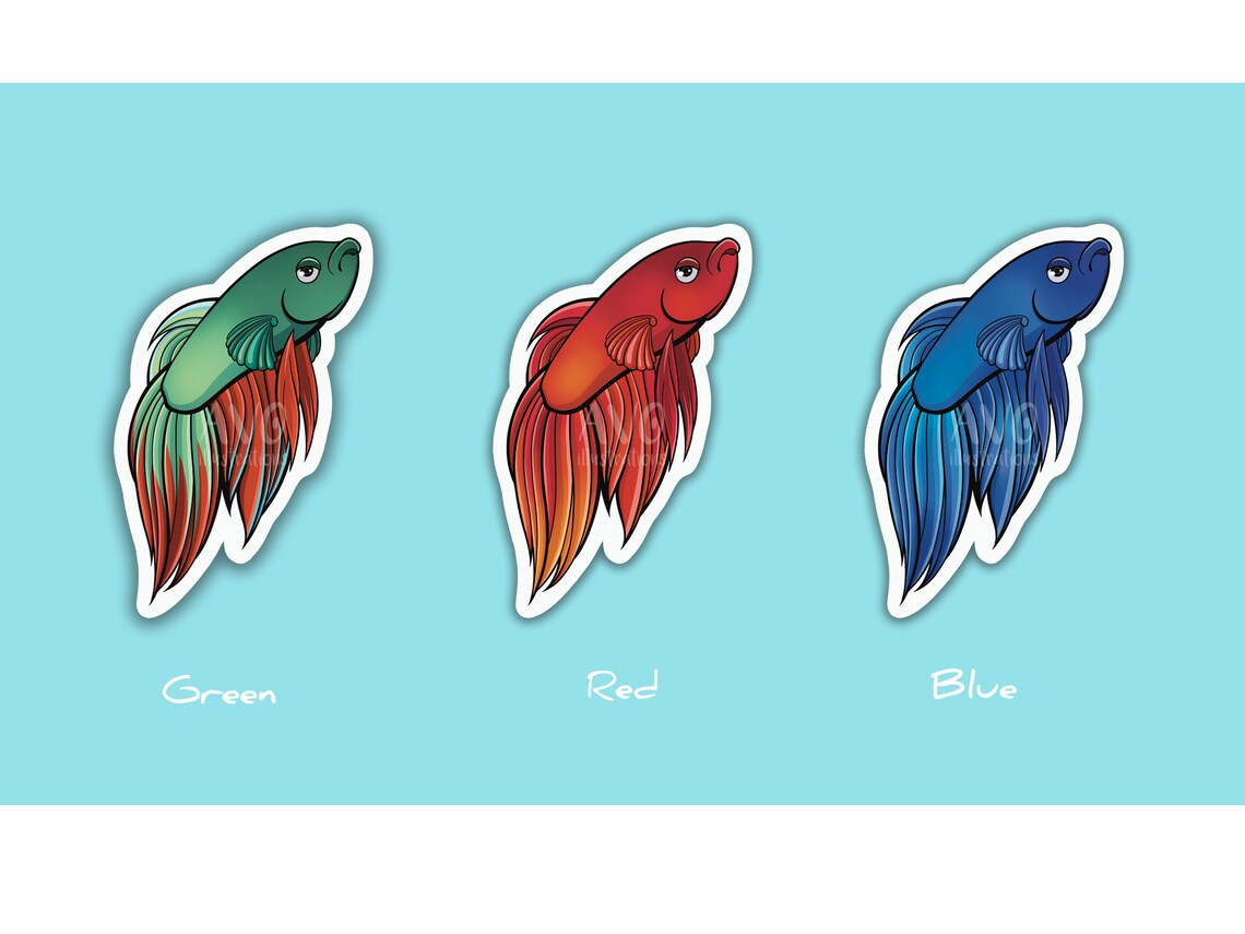 Grumpy Veiltail Betta Fish Sticker - Red, Blue, Green (glossy Vinyl) - Etsy
