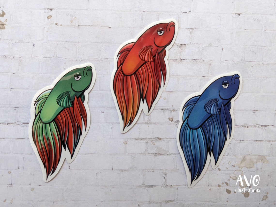 Grumpy Veiltail Betta Fish Sticker - Red, Blue, Green (glossy Vinyl) - Etsy