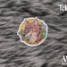 Anime Wolf Stickers Pack of 5 matte - Etsy