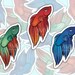 Grumpy Veiltail Betta Fish Sticker - Red, Blue, Green (glossy Vinyl) - Etsy