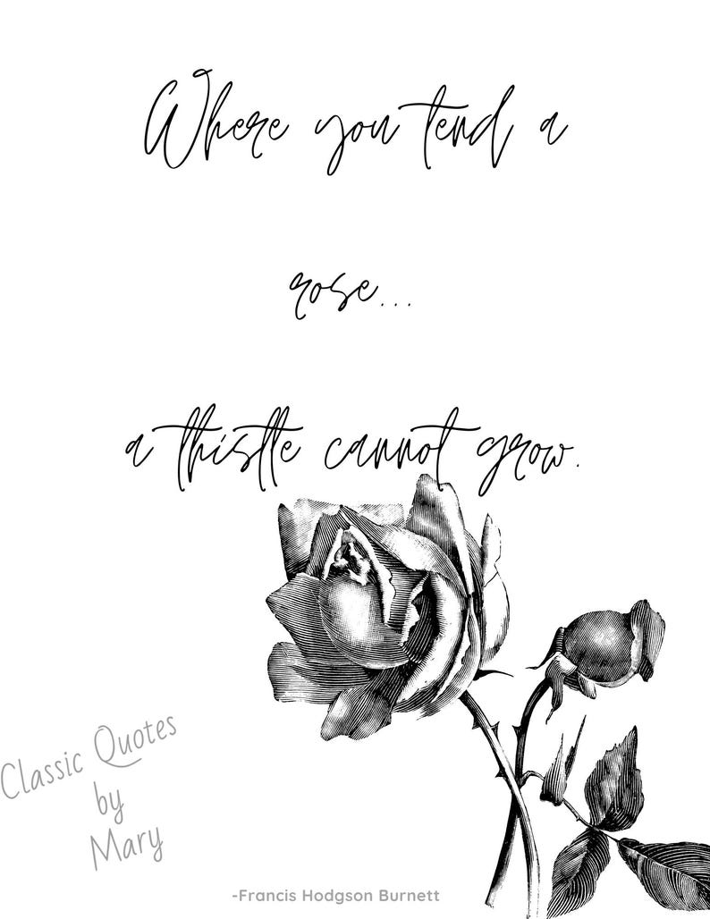 Secret Garden Quote, "where You Tend a Rose, a Thistle Cannot Grow ...