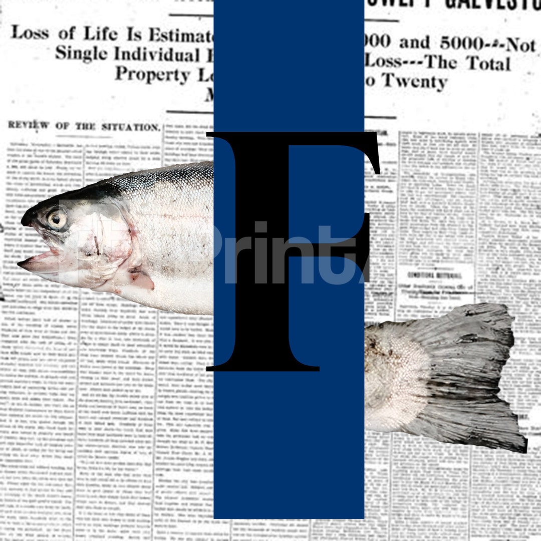 Breaking News Digital Collage Art - Etsy