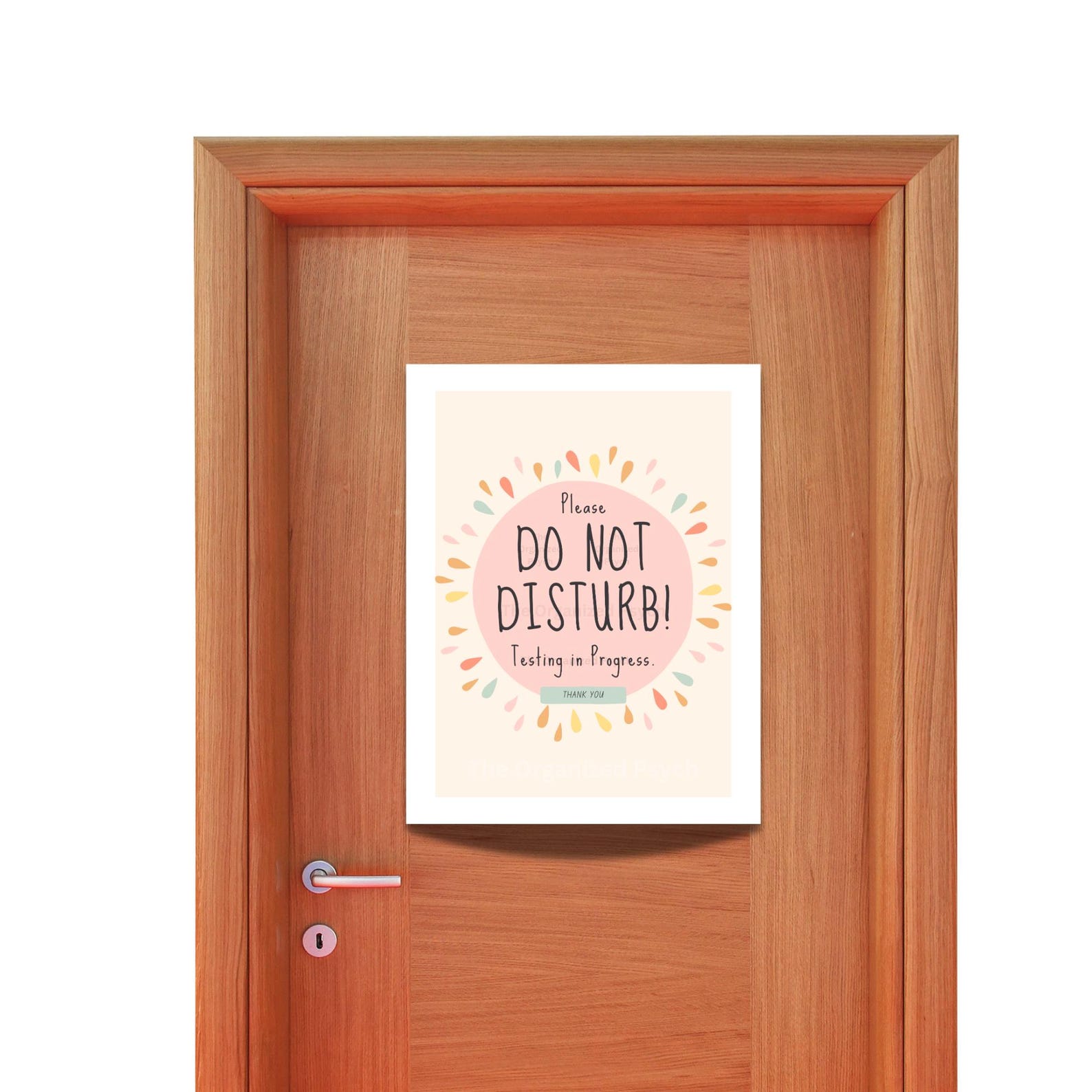 Do Not Disturb Door Sign, Testing in Progress Sign, SPED Testing Sign ...
