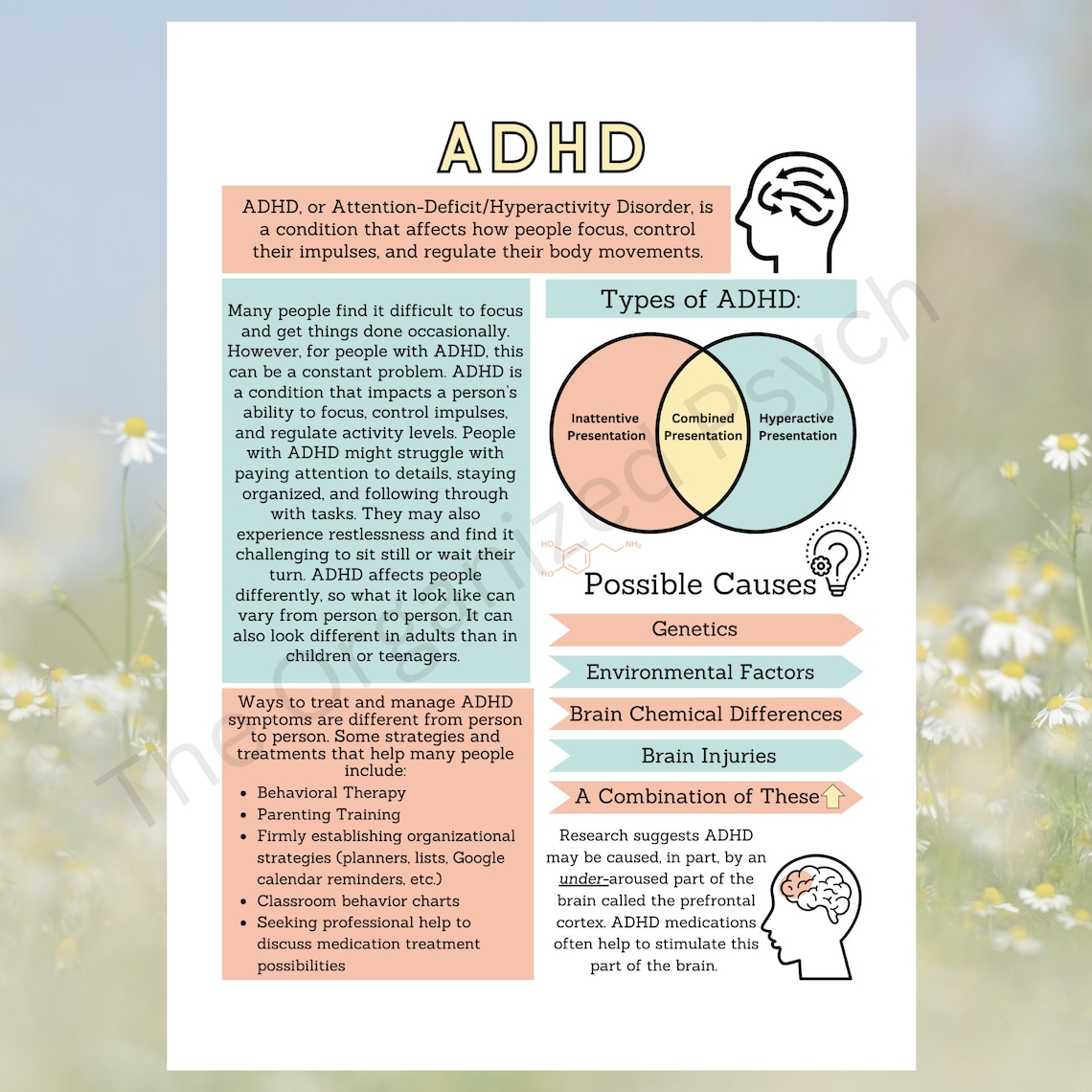 ADHD Worksheet Infographic, ADHD Poster ADHD Sign for Mental Health ...