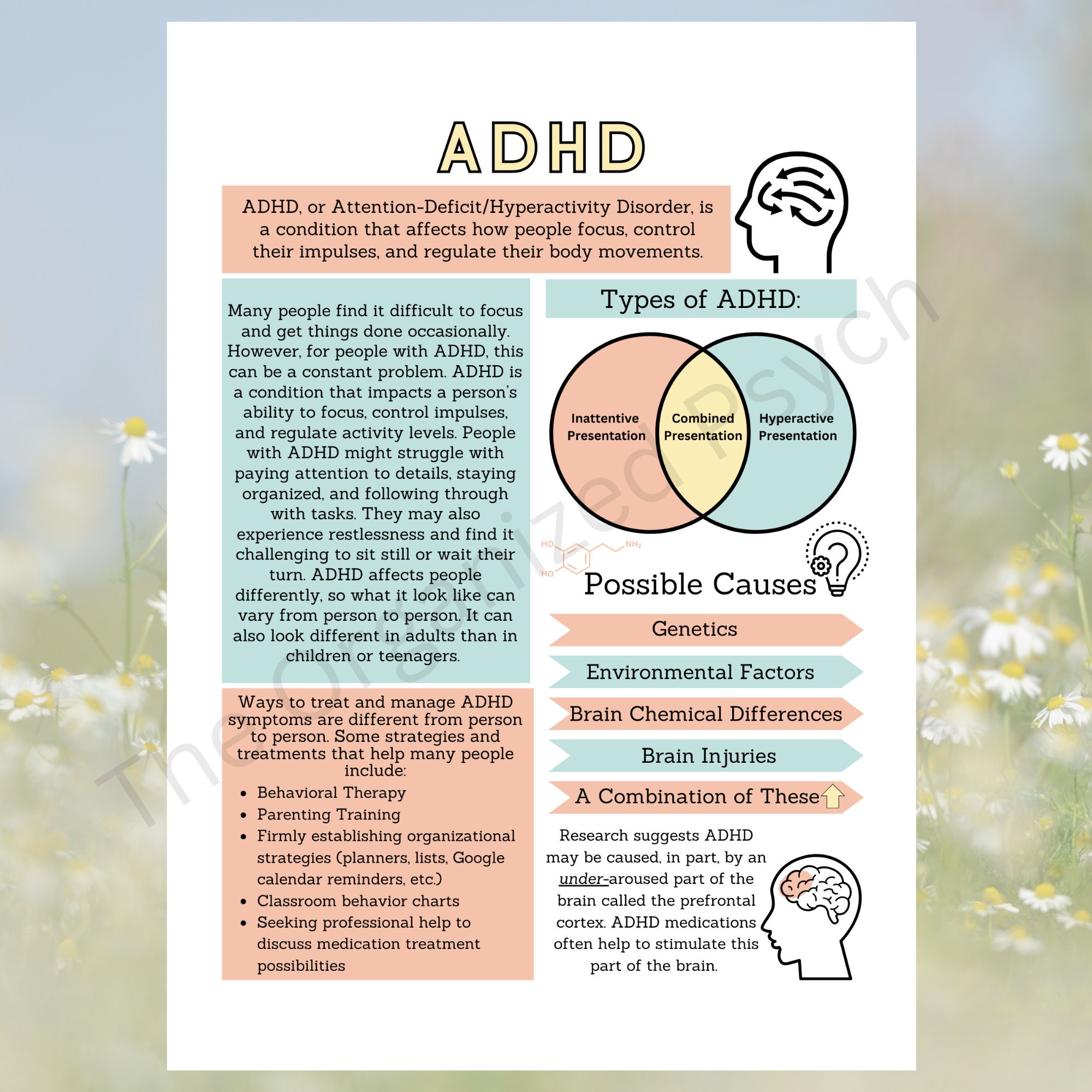 ADHD Worksheet Infographic, ADHD Poster ADHD Sign for Mental Health ...