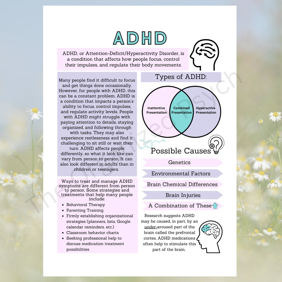 ADHD Worksheet Infographic, ADHD Poster ADHD Sign for Mental Health ...