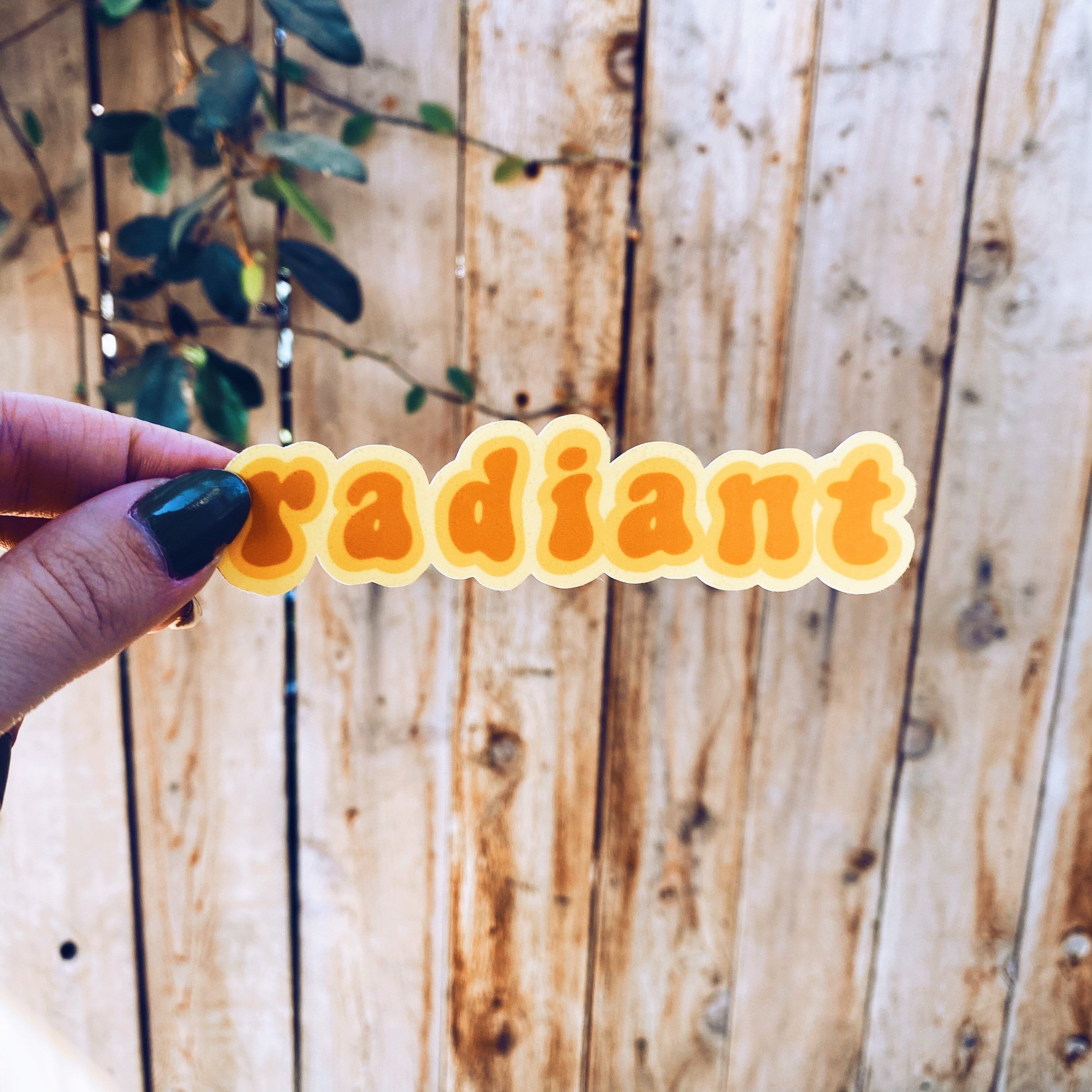 Radiant Sticker Bible Laptop Water Bottle Faith Decal - Etsy