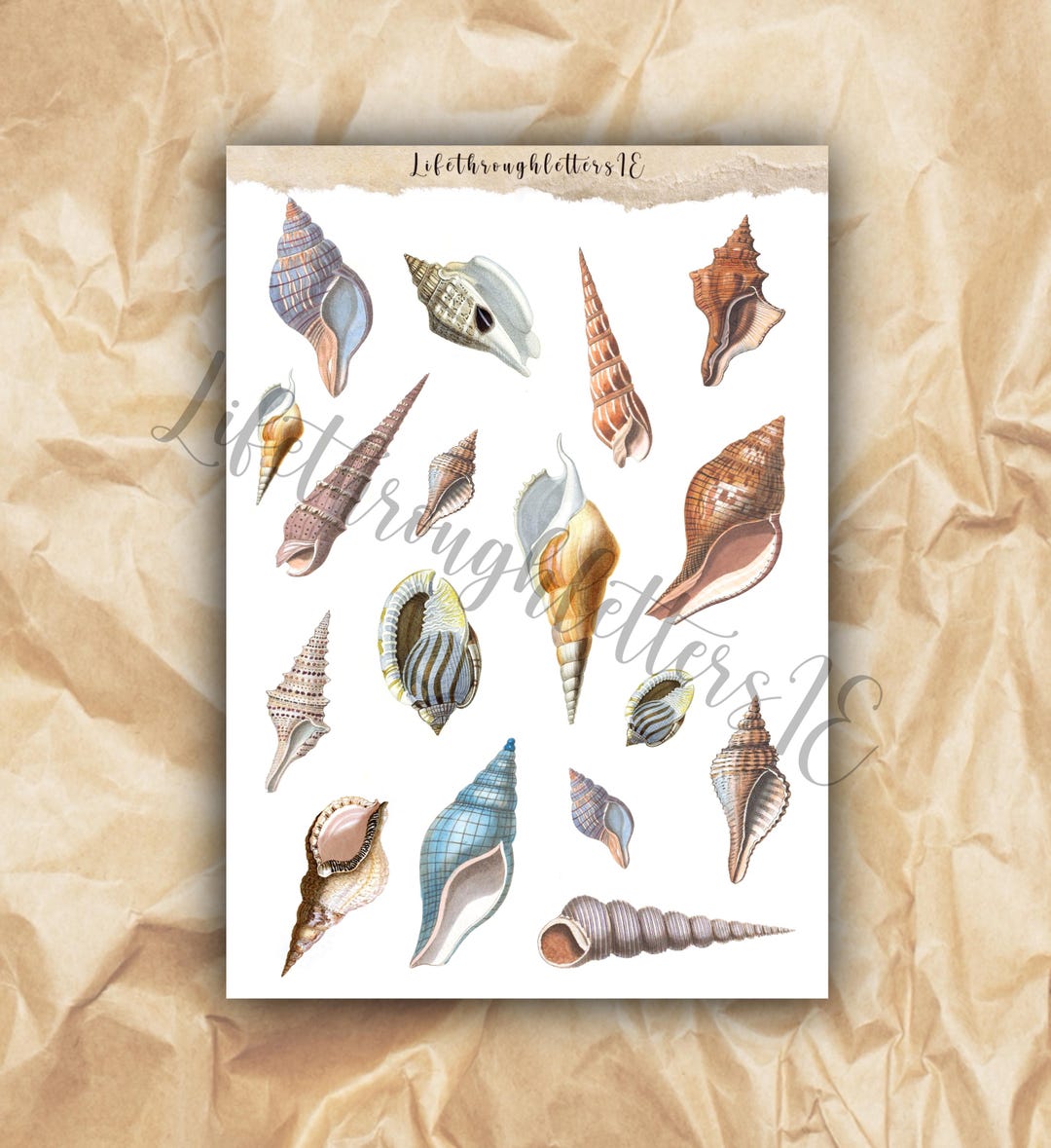 Seashell Stickers | Handmade | Journaling | Scrapbooking | Snailmail - Etsy