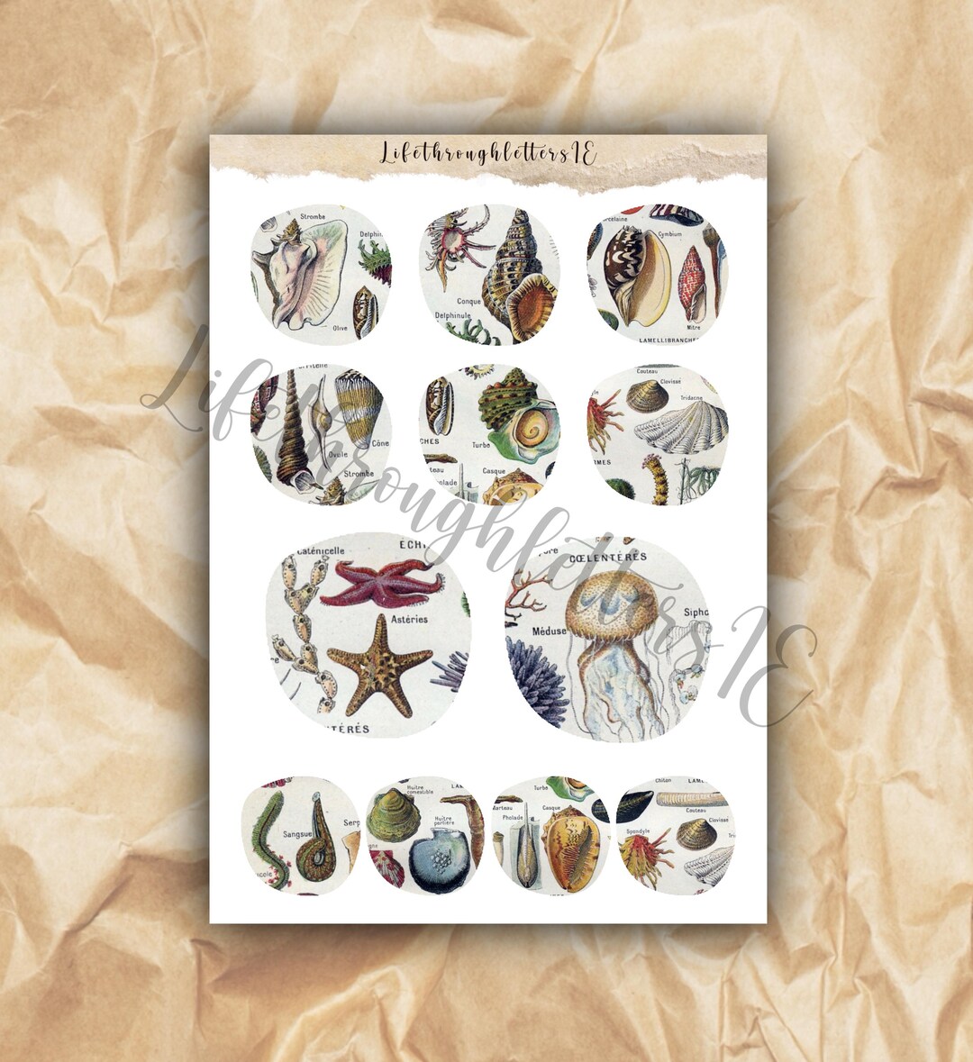 Sea Round Stickers | Seashells | Sea Theme| Handmade | Journaling ...
