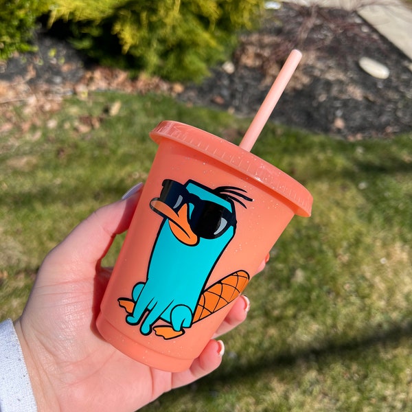 Phineas and Ferb Tumbler - Etsy Australia
