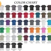 Next Level 6010 Color Chart | All Colors | N6010 | Color Guide ...