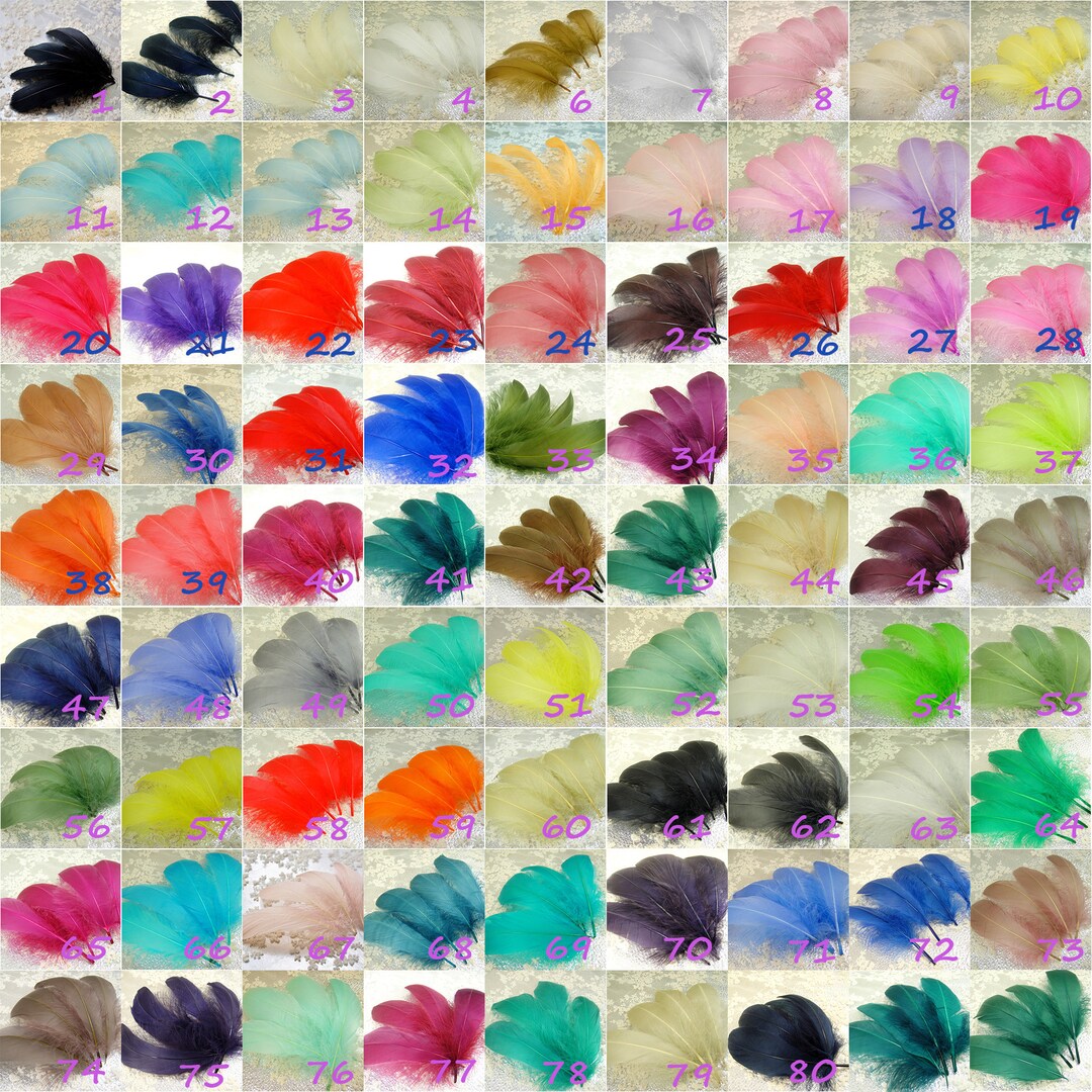 80 Colours Loose Goose Feathers for Millinery Hat Trimming Fascinators ...