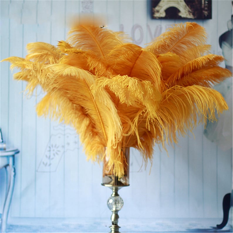 Dyed Natrual Large Ostrich Feathers for Home Wedding Party - Etsy
