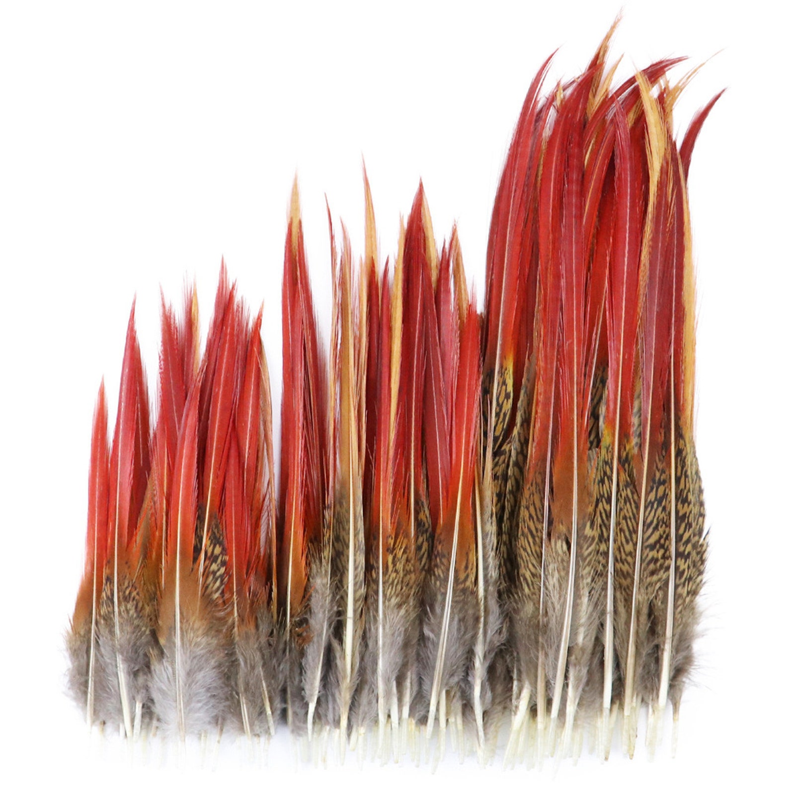 Natural Golden Pheasant Feathers, Natural Pheasant Red Tip Loose ...