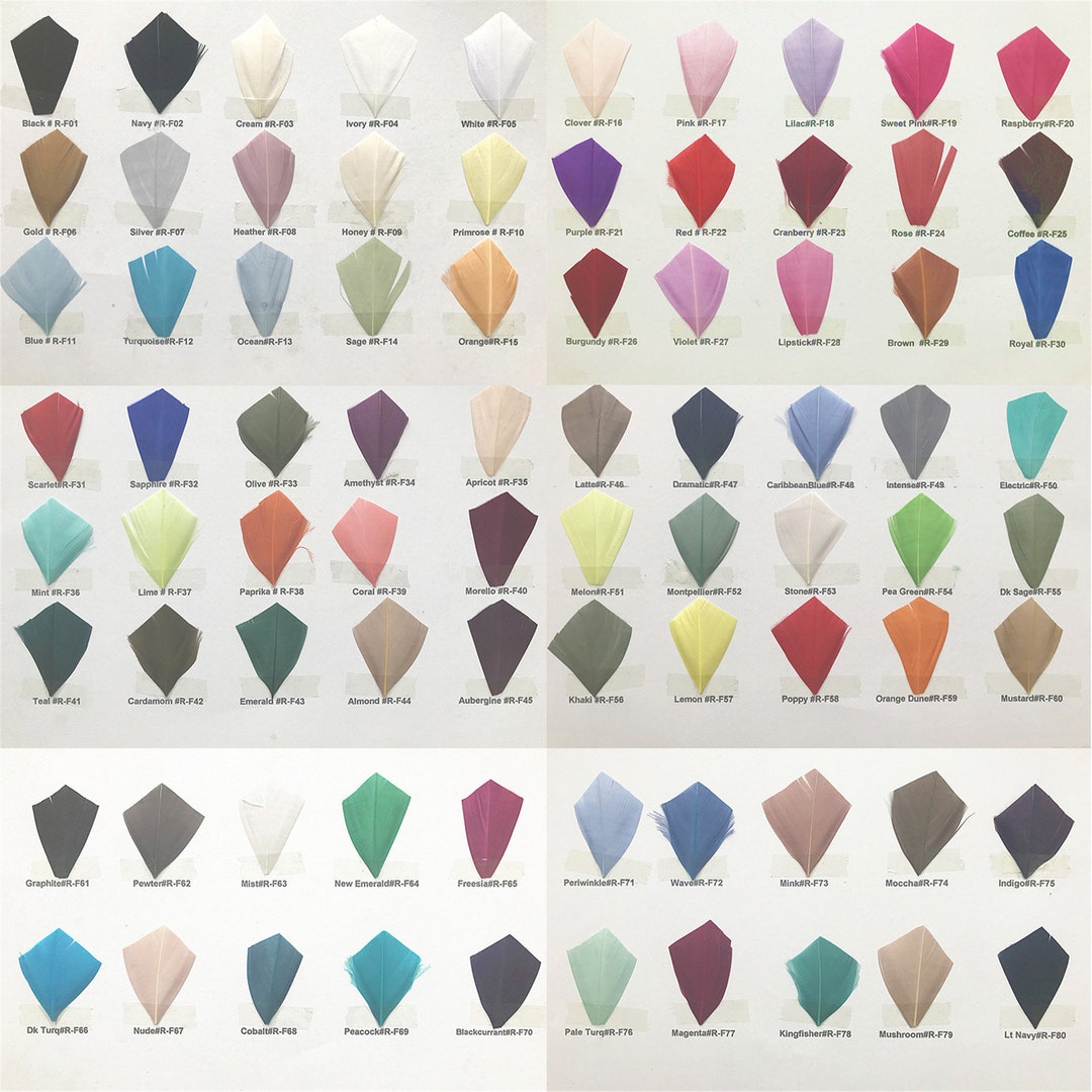 Goose Feathers Colours Chart - Etsy