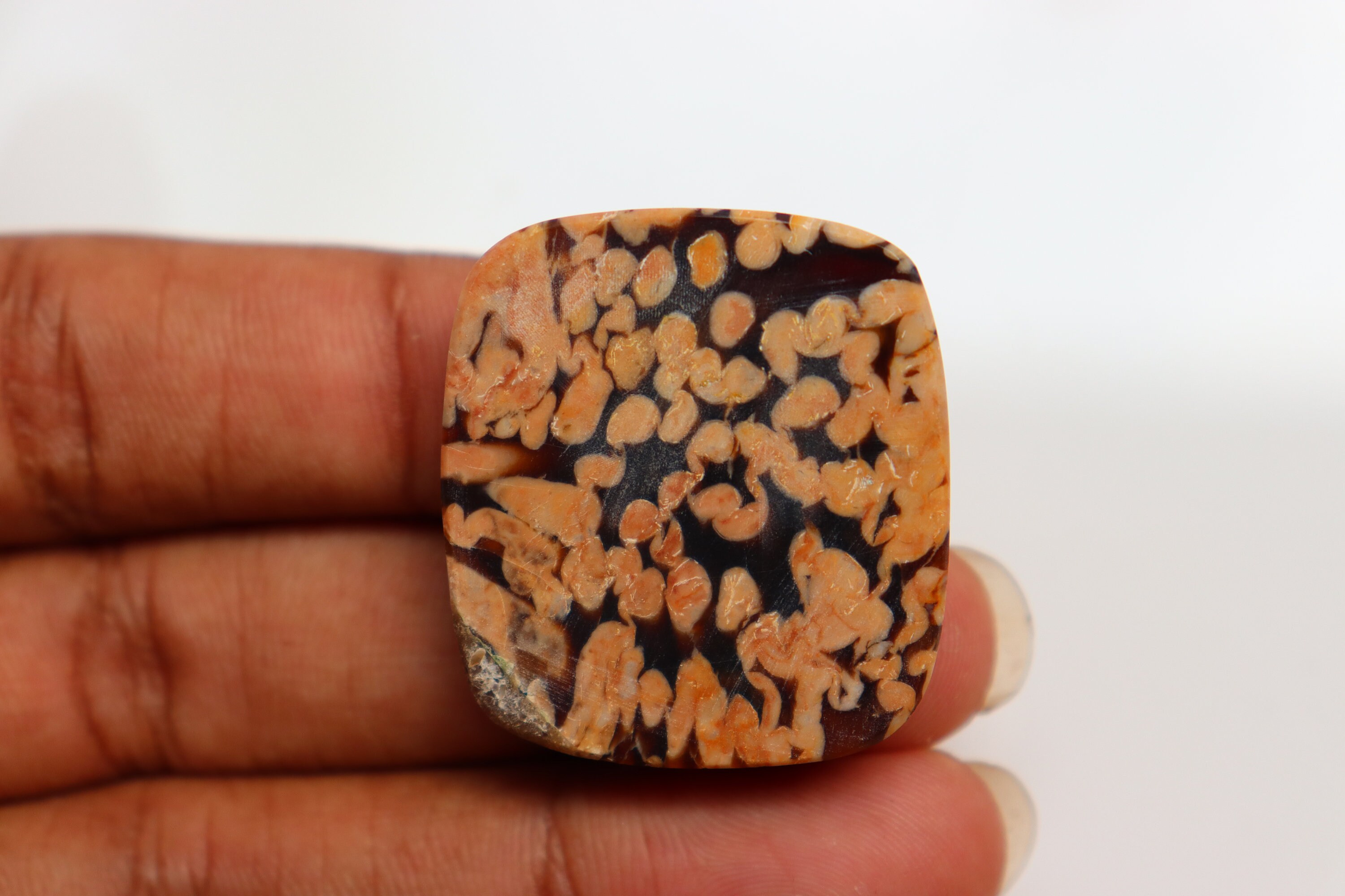 Peanut Wood Jasper Cabochon Peanut Wood Jasper Oval Shape | Etsy