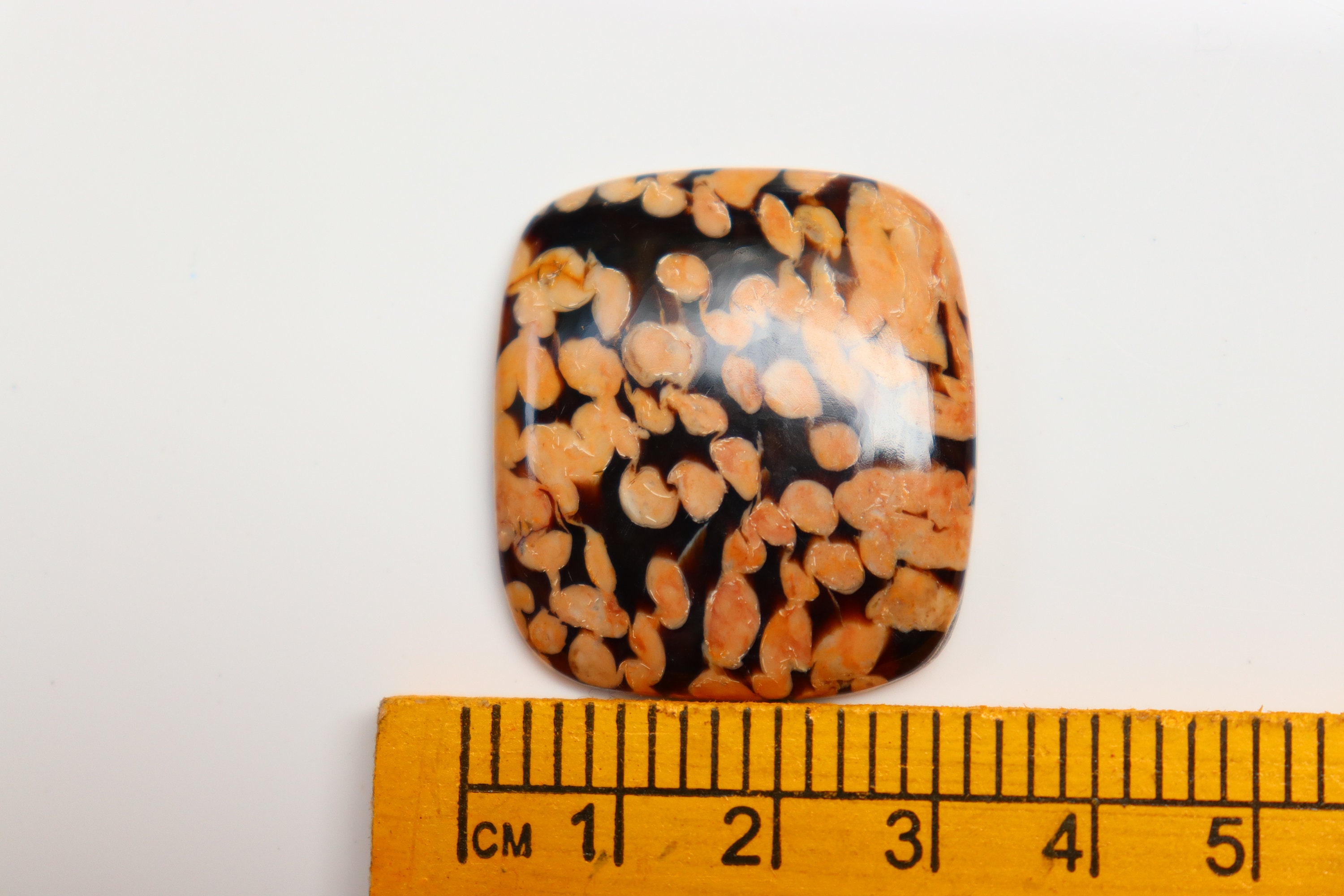 Peanut Wood Jasper Cabochon Peanut Wood Jasper Oval Shape | Etsy