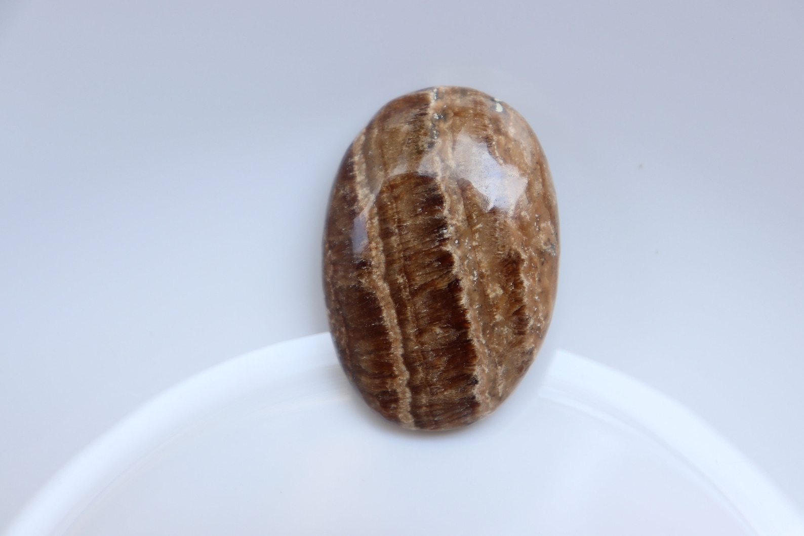 Natural Yellow banded aragonite palm stone. healing stone | Etsy