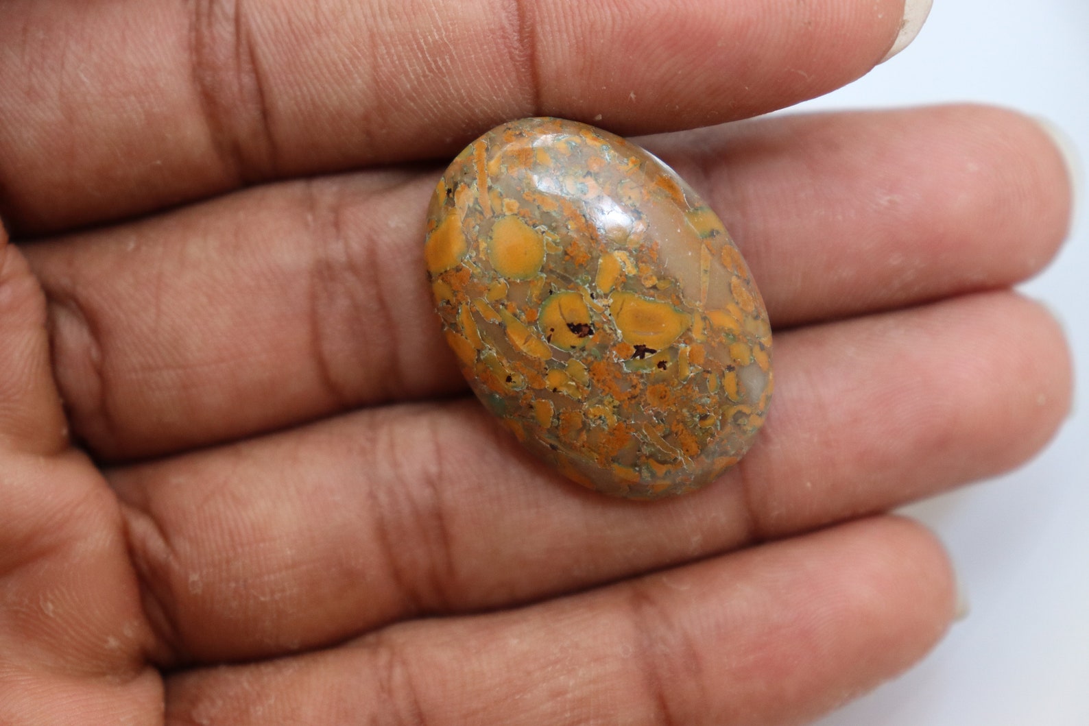 Ajoobalite Fruit Jasper Palm Stone Polished Fruit Jasper Palm - Etsy
