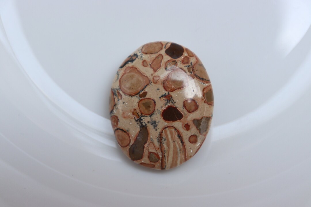 Natural Leopard Skin Jasper Palm Stone, Gemstone Jasper, Healing Stone ...
