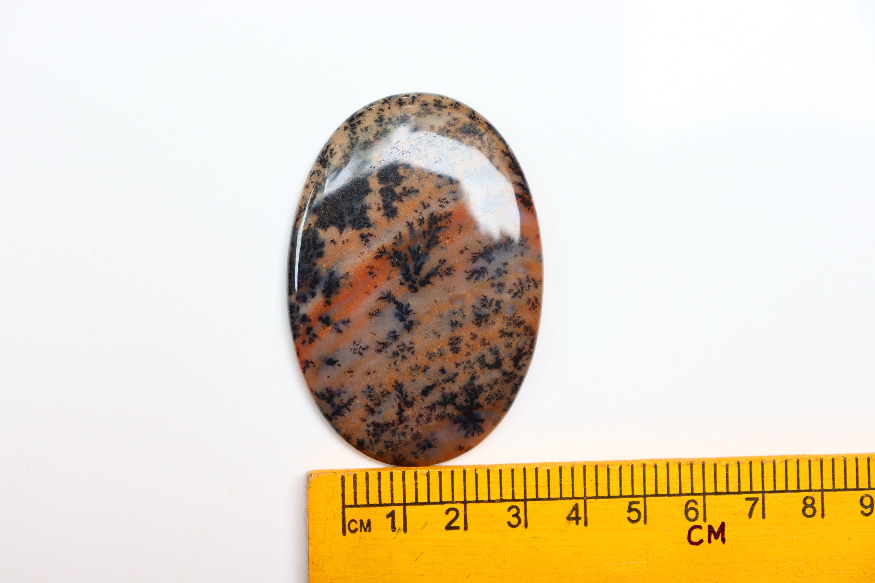 Natural Honey Dendrite Agate Cabochon Big Size Honey - Etsy