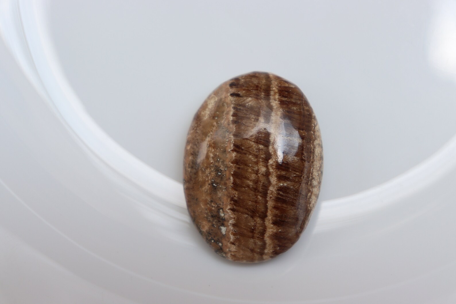 Natural Yellow banded aragonite palm stone. healing stone | Etsy