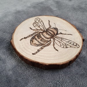 Honey Bee (freehand Pyrography) on 10-12cm Wood Slice - Etsy Australia