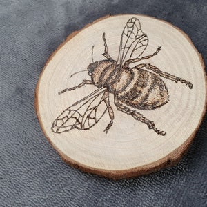Honey Bee (freehand Pyrography) on 10-12cm Wood Slice - Etsy Australia