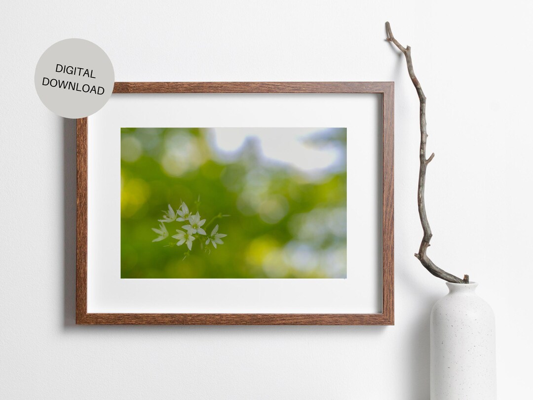 Printable Botanical Wall Art, White Flower Photograph, Floral Wall Art ...