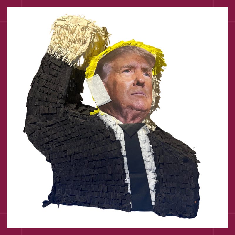 Donald Trump Pinata - Etsy