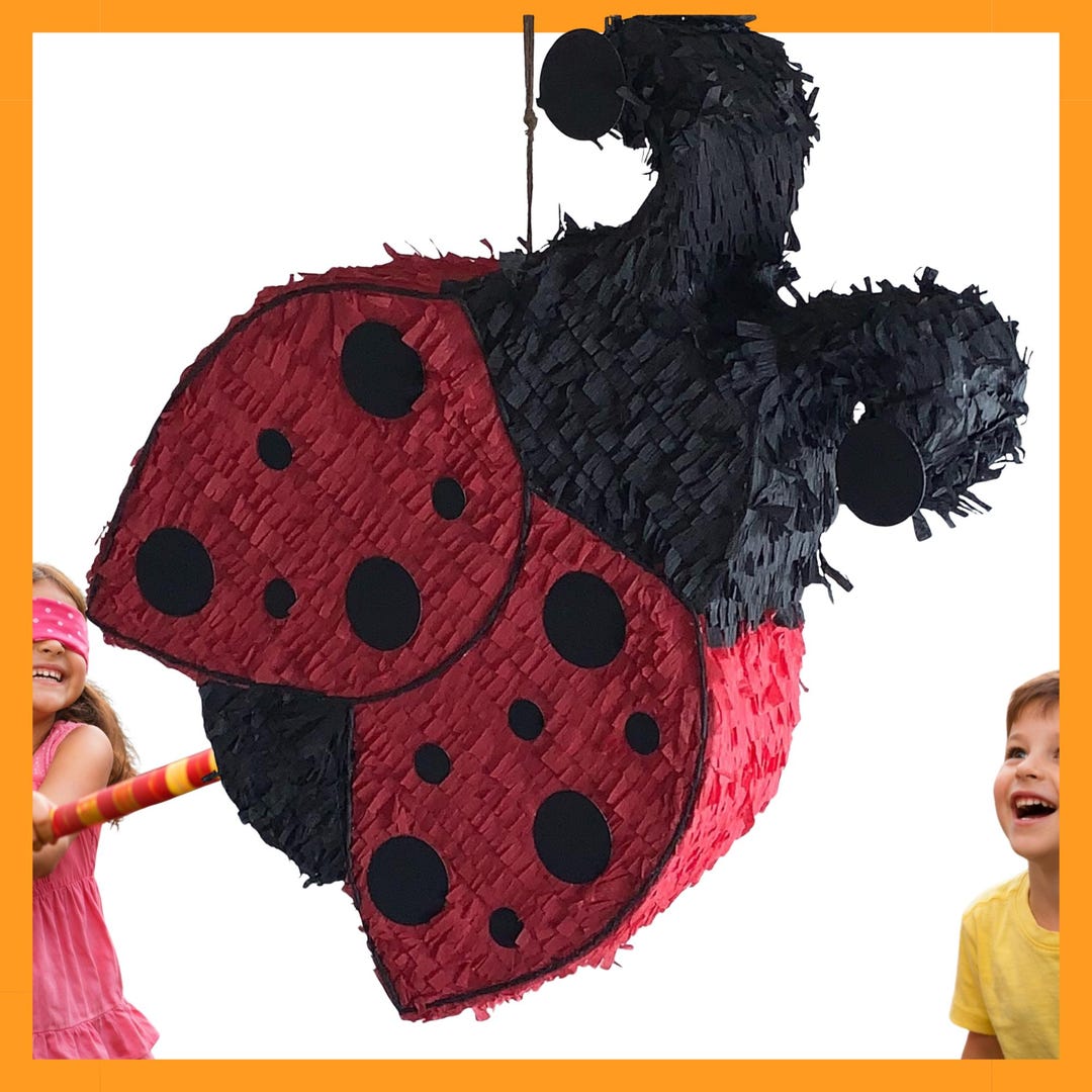 Ladybug Piñata 20