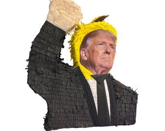 Donald Trump Party Pinata - Etsy