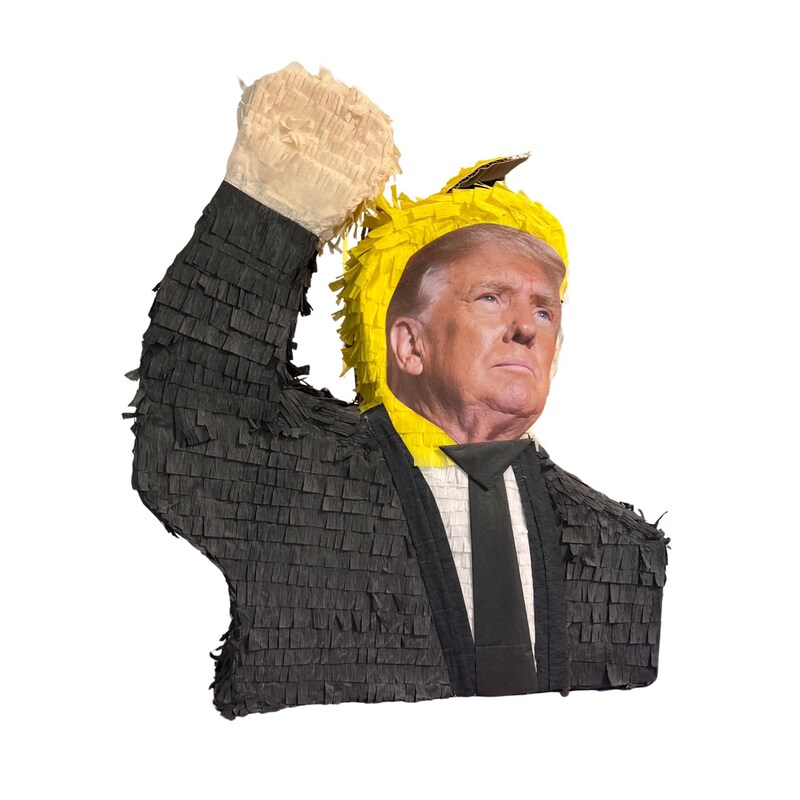Donald Trump Pinata - Etsy