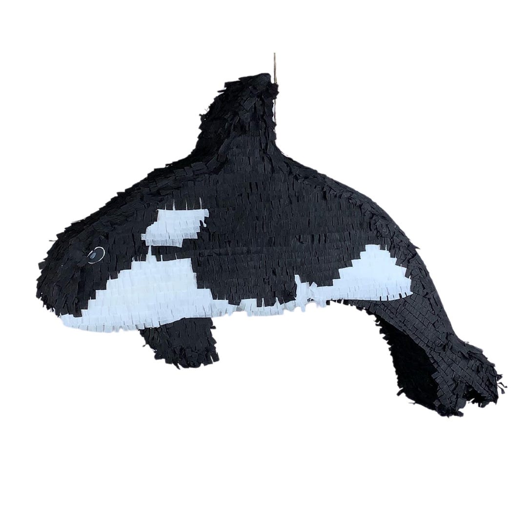 Personalized Orca Piñata – Perfect for Ocean and Sea Animal Themed ...