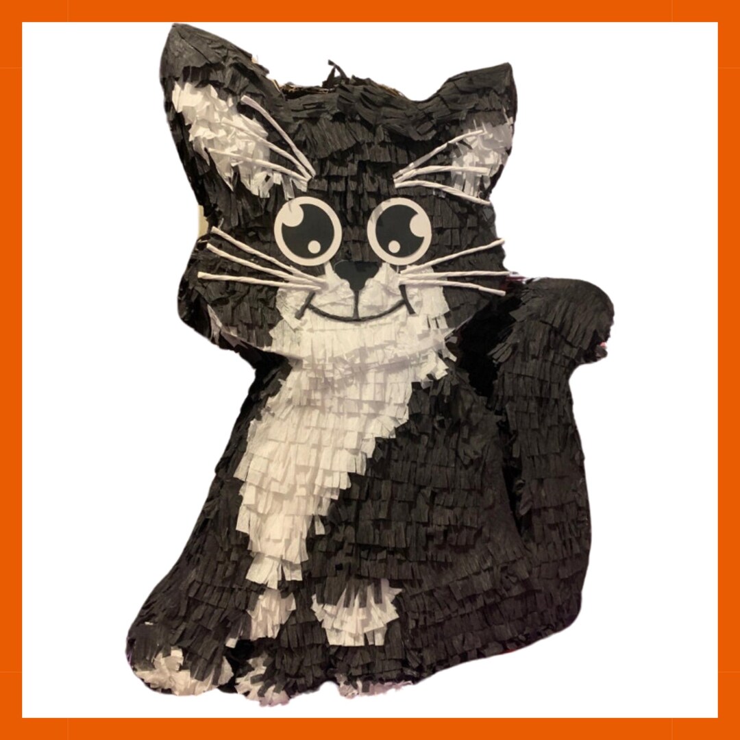 CAT PINATA. We Personalize Your Piñatas - Etsy