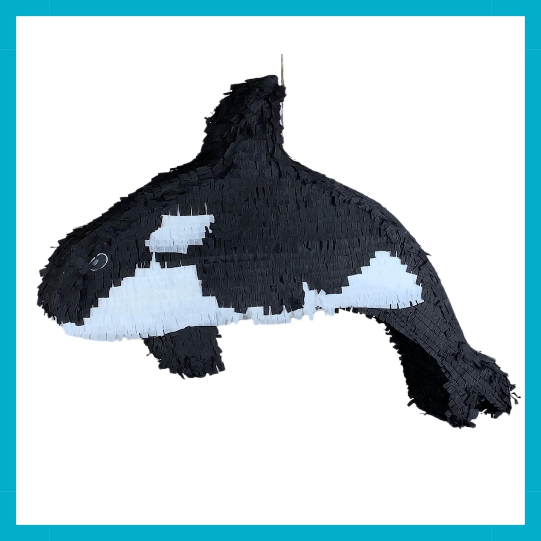 ORCA PIÑATA. WHALES. Sharks We Personalize Your Piñatas - Etsy
