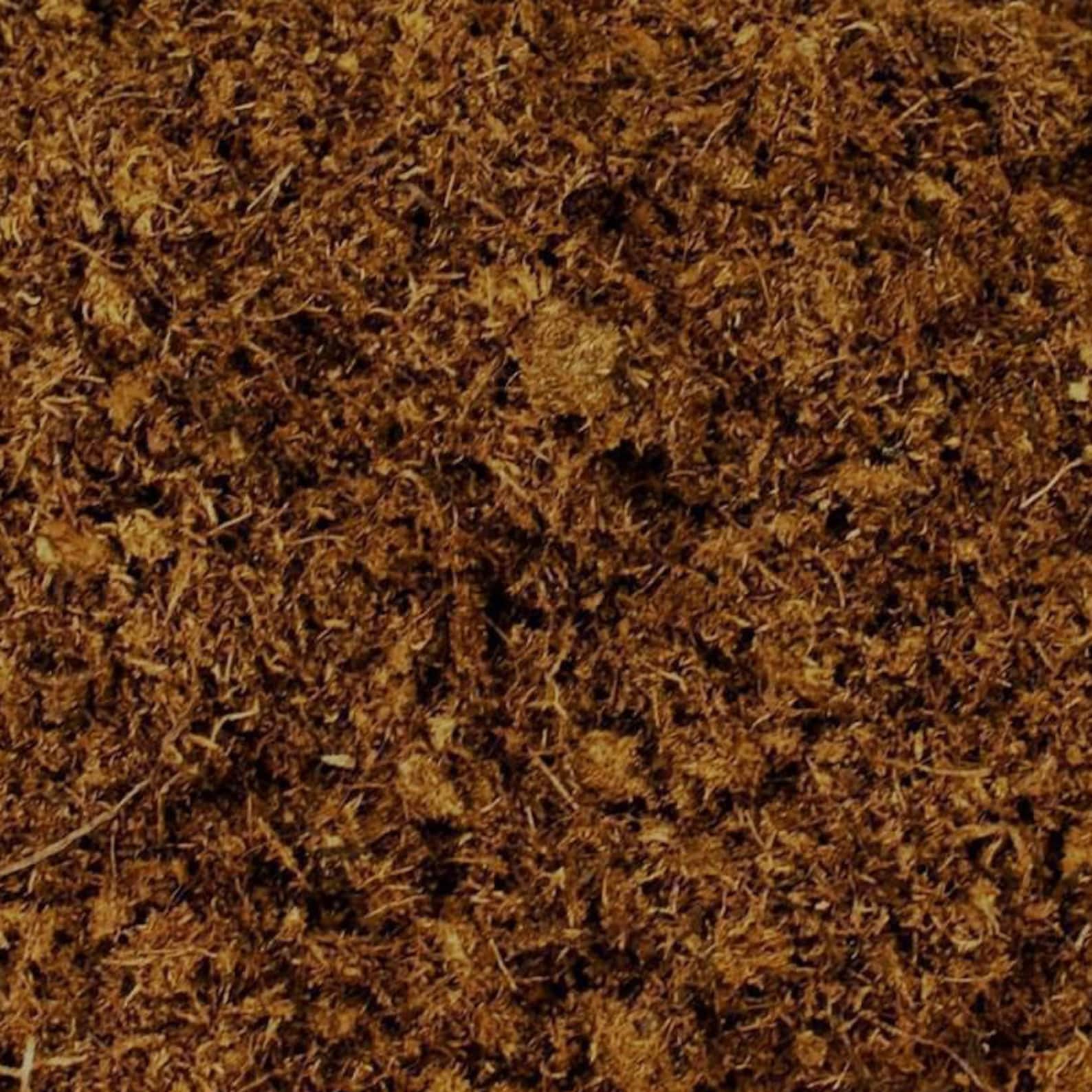 Coco Coir Substrate Recipe - Banana-breads.com