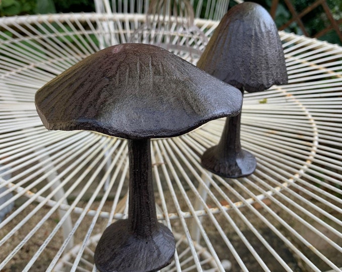 Cast Iron Mushroom or Toadstool Sculpture - Etsy UK