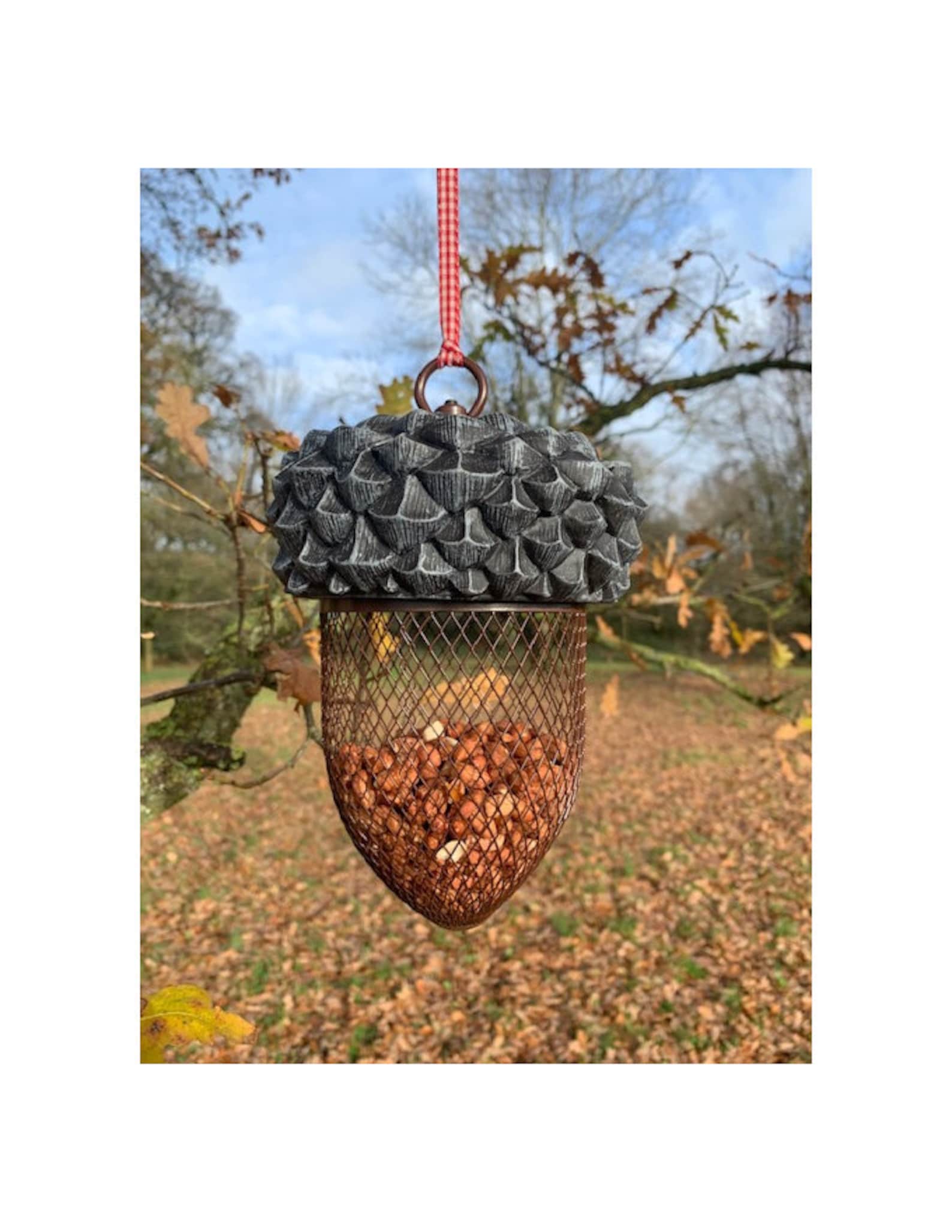 Acorn Bird Feeder With Red Gingham Ribbon for Hanging - Etsy UK