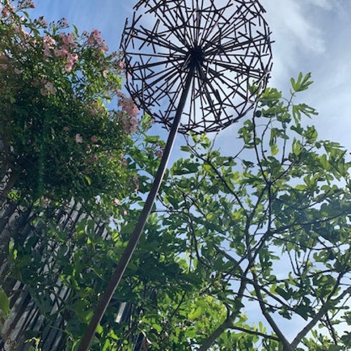 Allium Metal Sculpture - Etsy UK