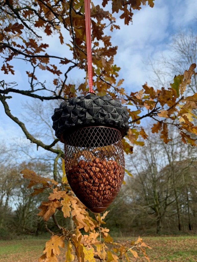 Acorn Bird Feeder With Red Gingham Ribbon for Hanging - Etsy UK