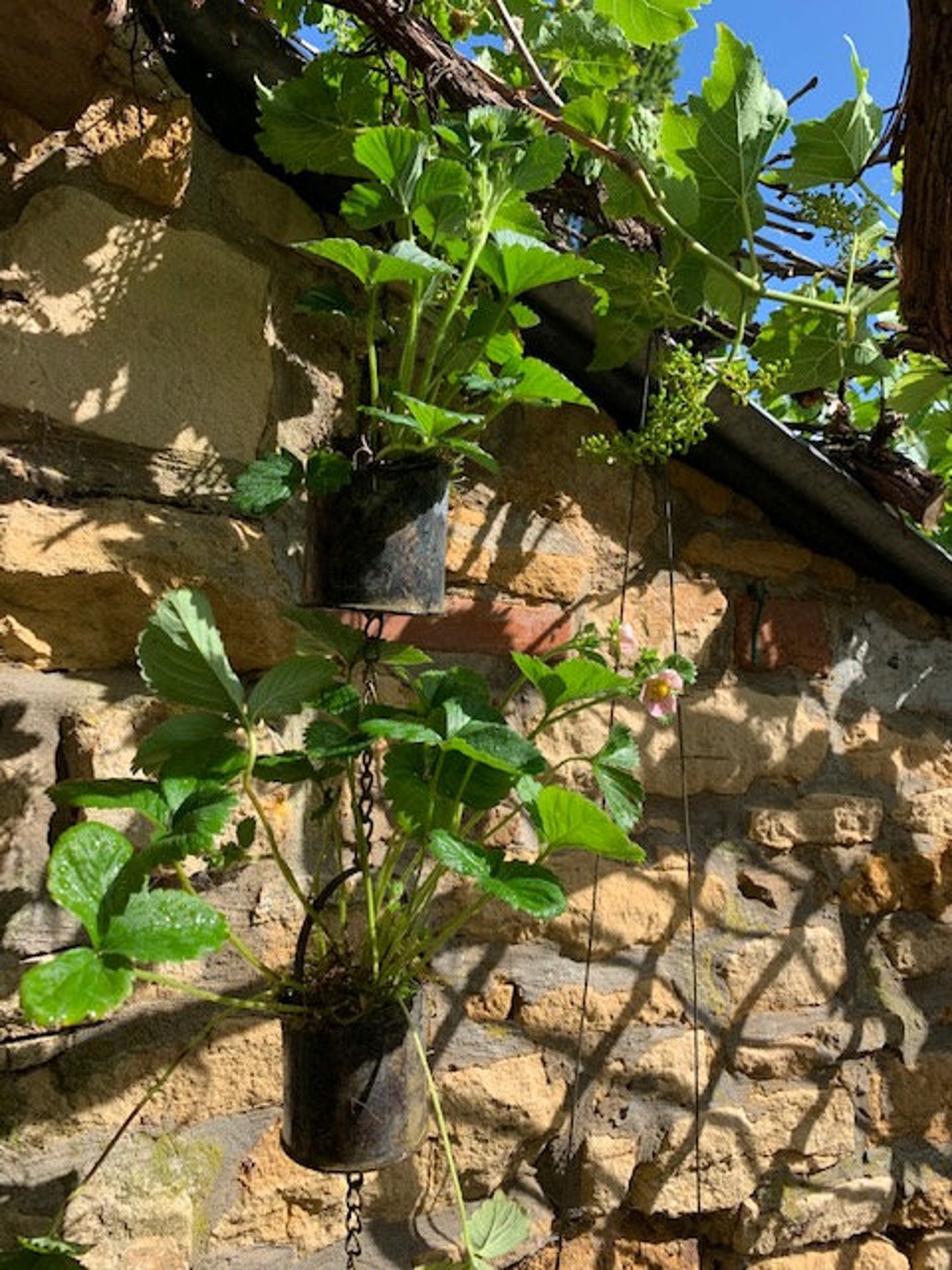 Hanging Rain Chain Pot Planter - Etsy