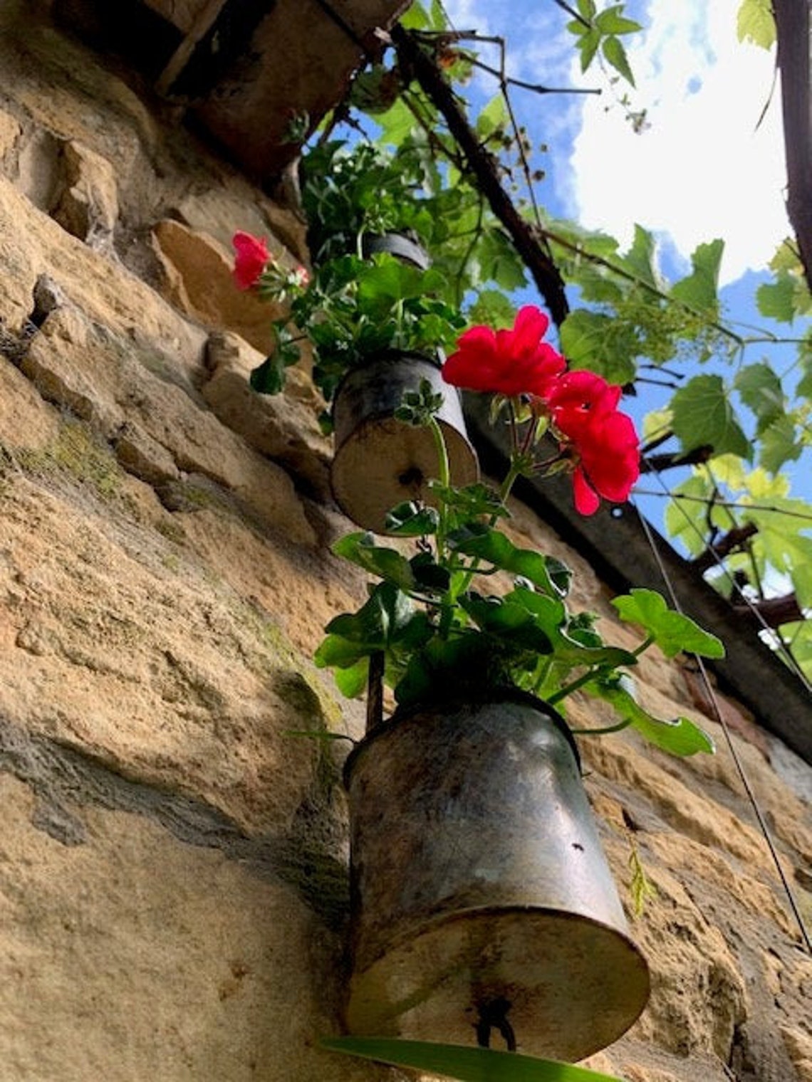 Hanging Rain Chain Pot Planter - Etsy