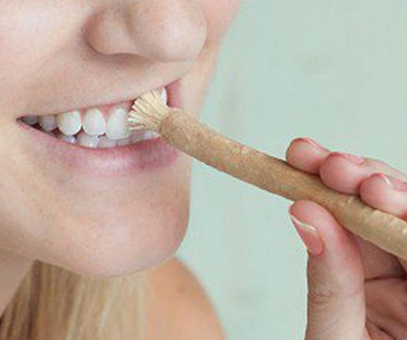 Miswak Stick Meswak Organic Natural Toothbrush Peelu Sewak | Etsy