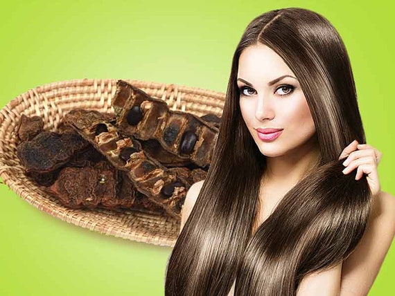 Senegalia Rugata Shikakai Powder or Whole Acacia Concinna | Etsy