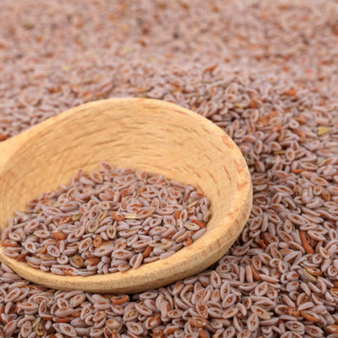 Psyllium Seed Husks