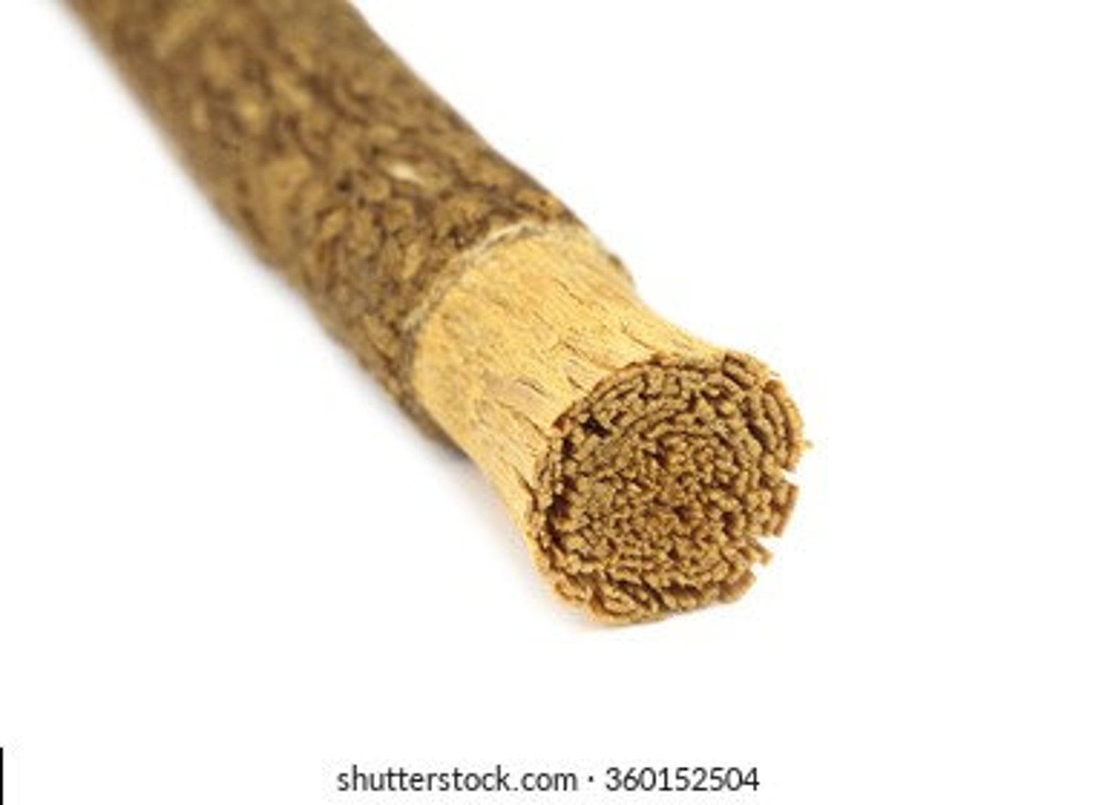 Miswak Stick Meswak Organic Natural Toothbrush Peelu Sewak | Etsy