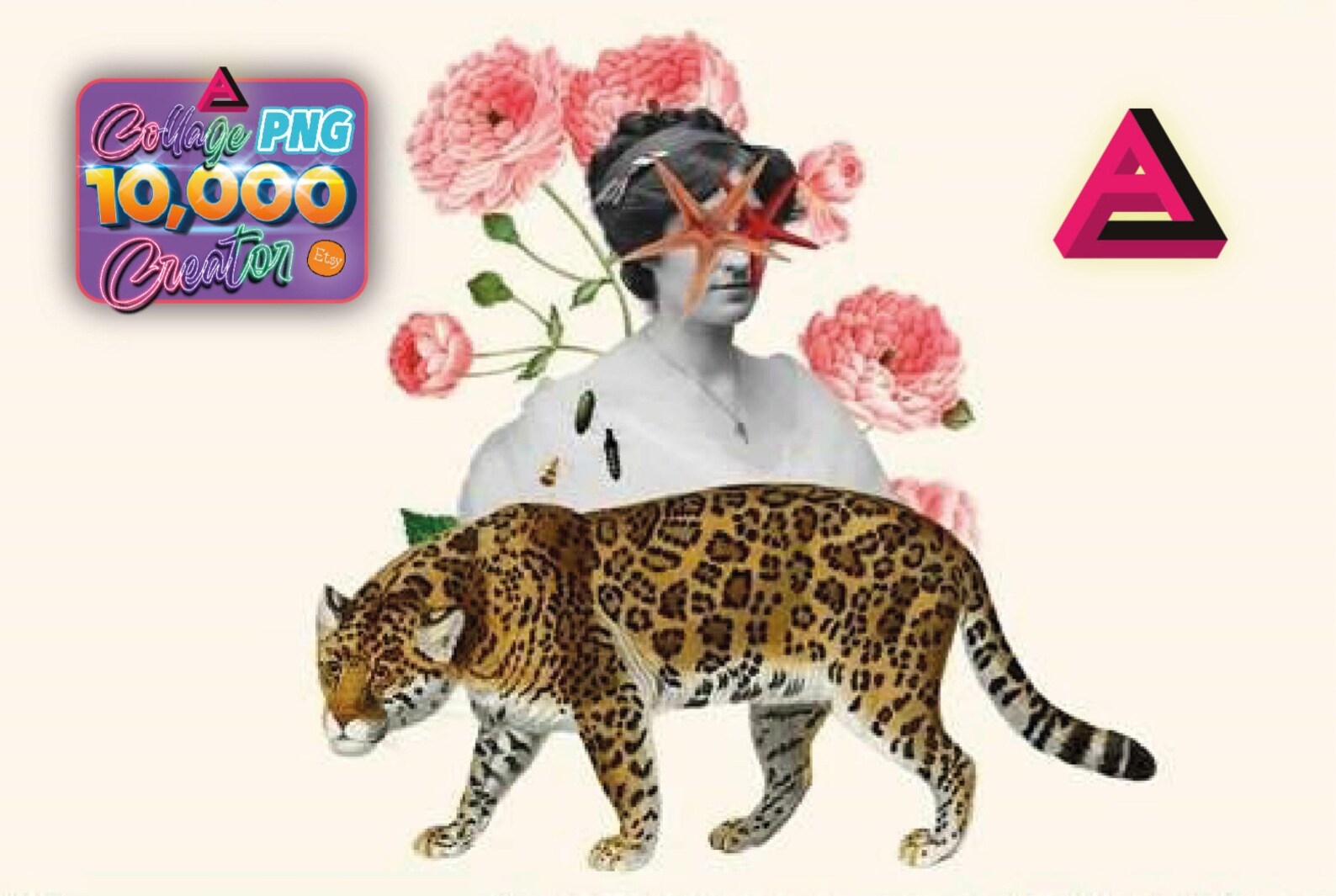 Collage Creator Collection +10,000 PNG Images in High Resolution, Use ...